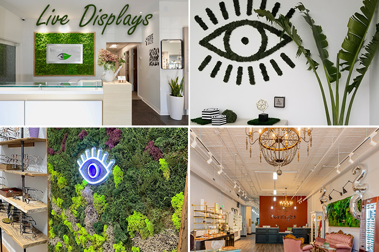 Bringing Nature Indoors: Living Moss Displays | Women In Optometry