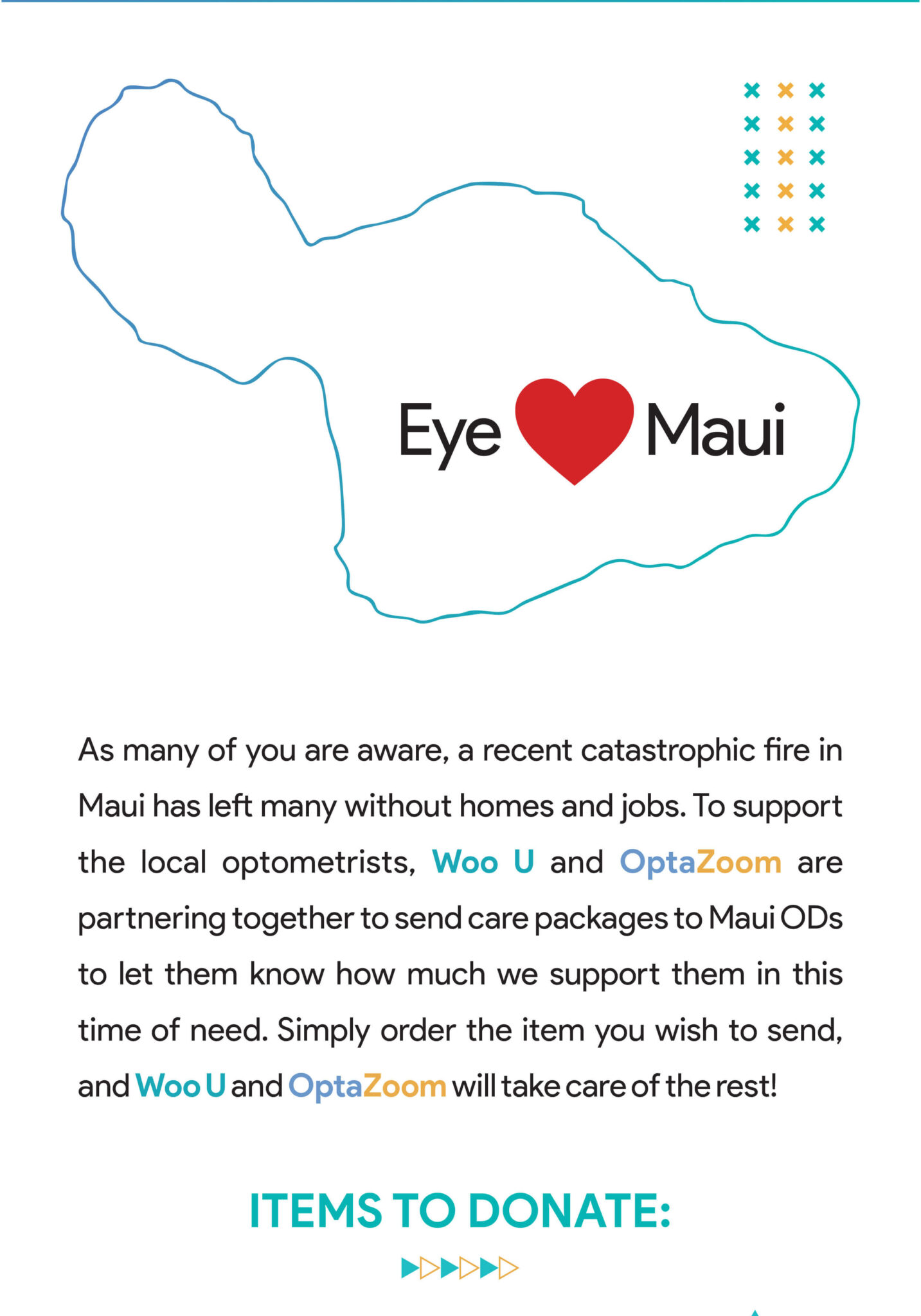 Supporting Colleagues in Maui | Women In Optometry