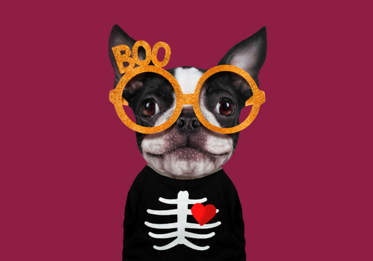 Halloween Still an Office Hit in 2023 | Women In Optometry